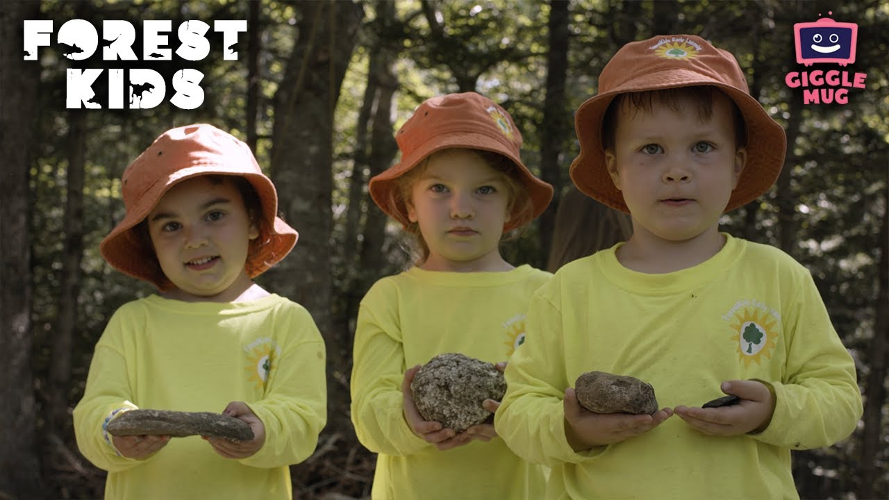 Nature's Art | Forest Kids (7-Minutes of Nature & Learning for Kids ...