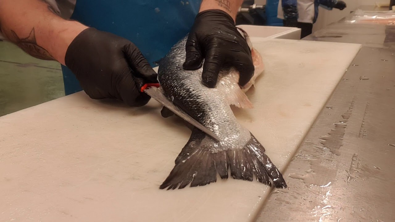 Zalm Fileren - YouTube