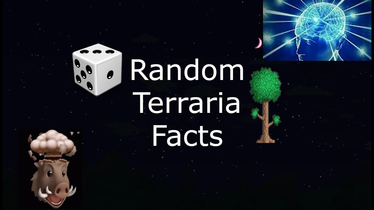 Random Terraria Facts - YouTube