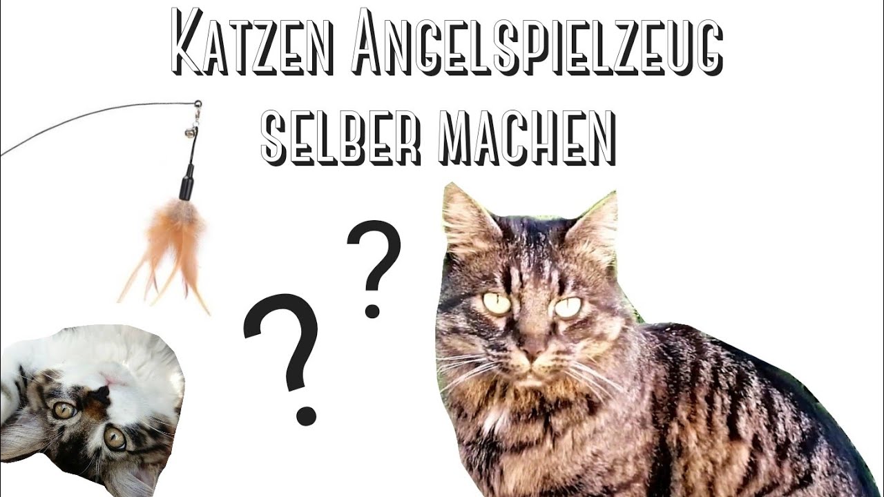 Wunderschne Katzenangel Selber Machen Fotos