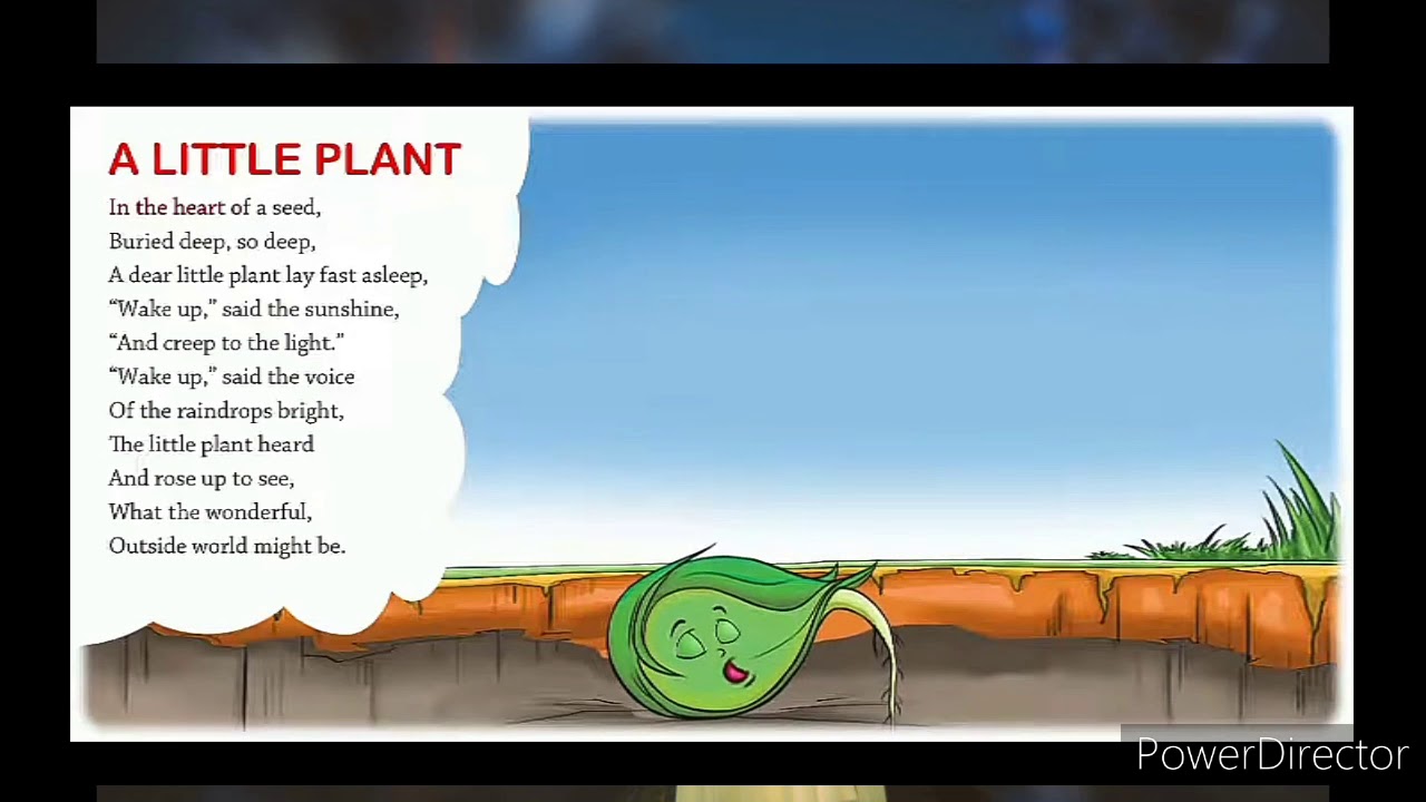 The Little Plant -by Kate Louise Brown - YouTube