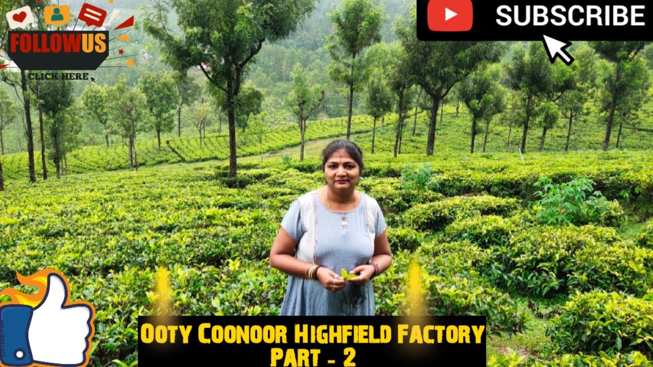Ooty Coonoor Highfield Factory Part-2 - YouTube
