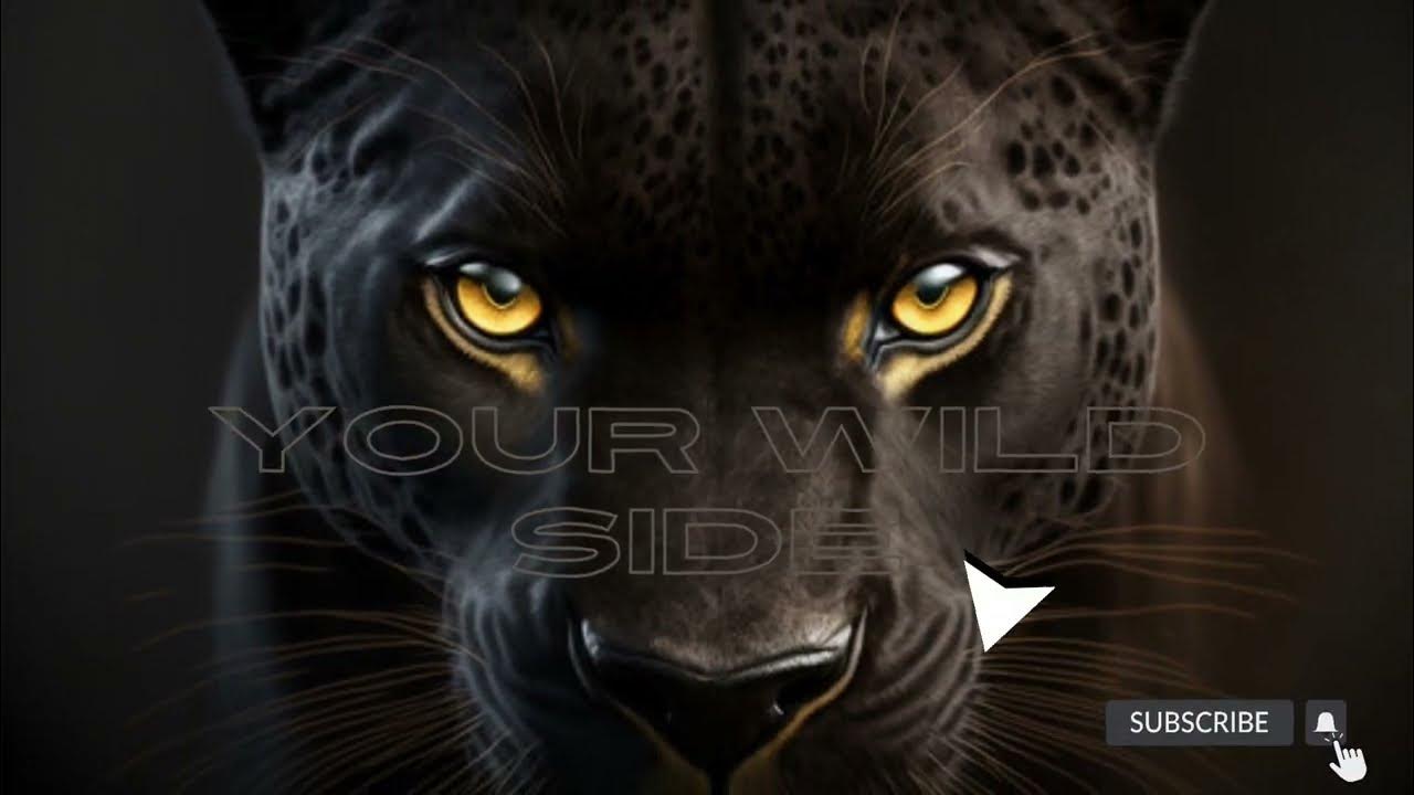 Black Panthers intro - YouTube