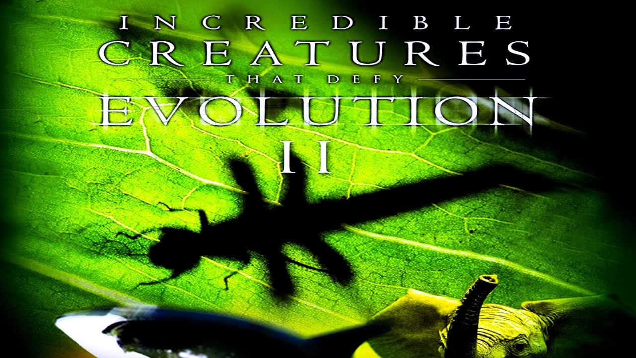 Incredible Creatures that Defy Evolution 2 - YouTube
