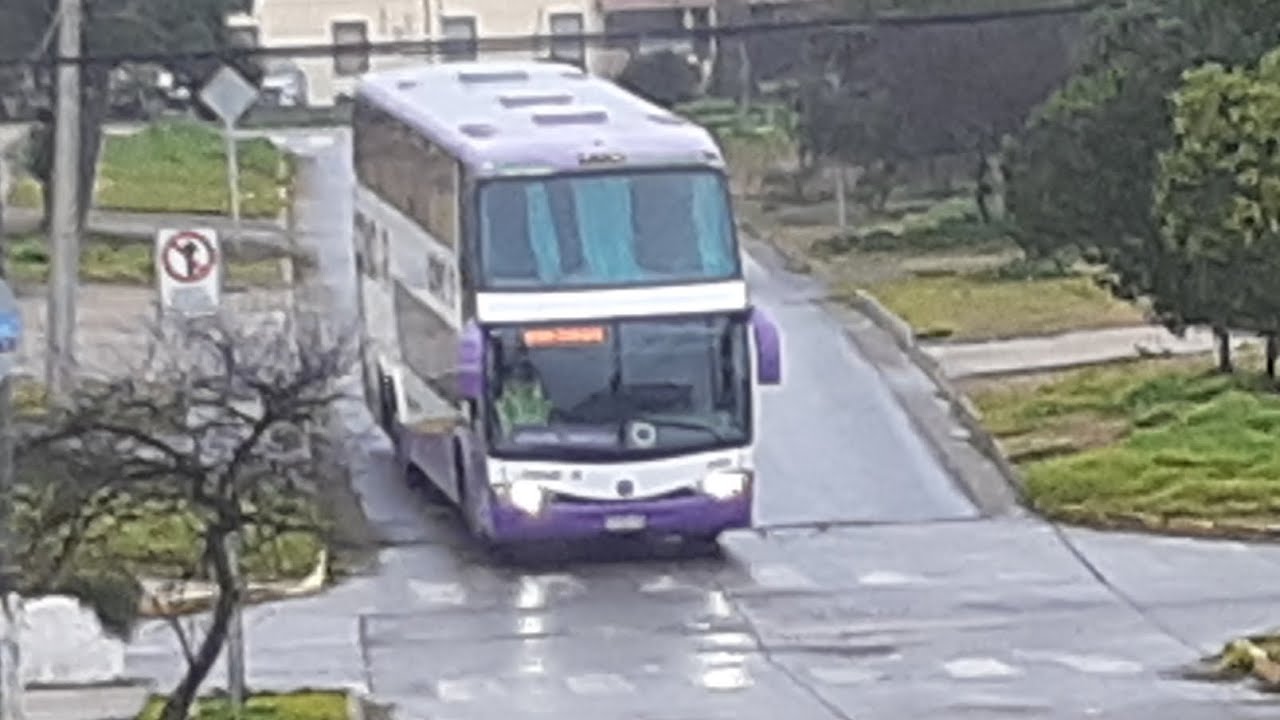 Bus Condor Bus - YouTube