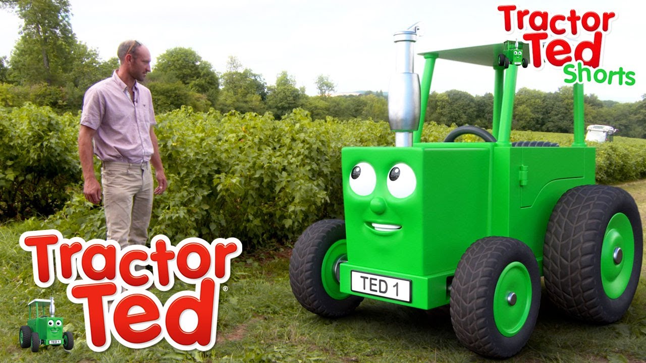 🌱 Lets Look At Cutting The Weeds | Tractor Ted Shorts | Tractor Ted ...