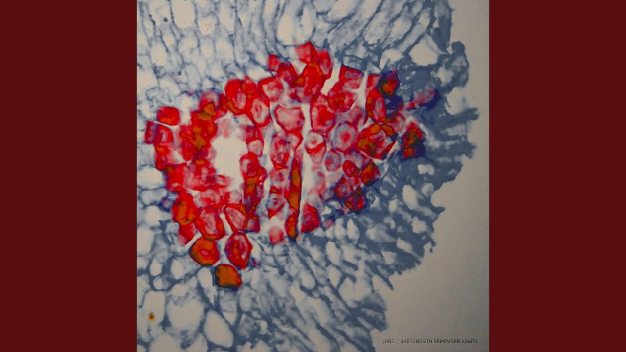 The Torrent Sea - YouTube