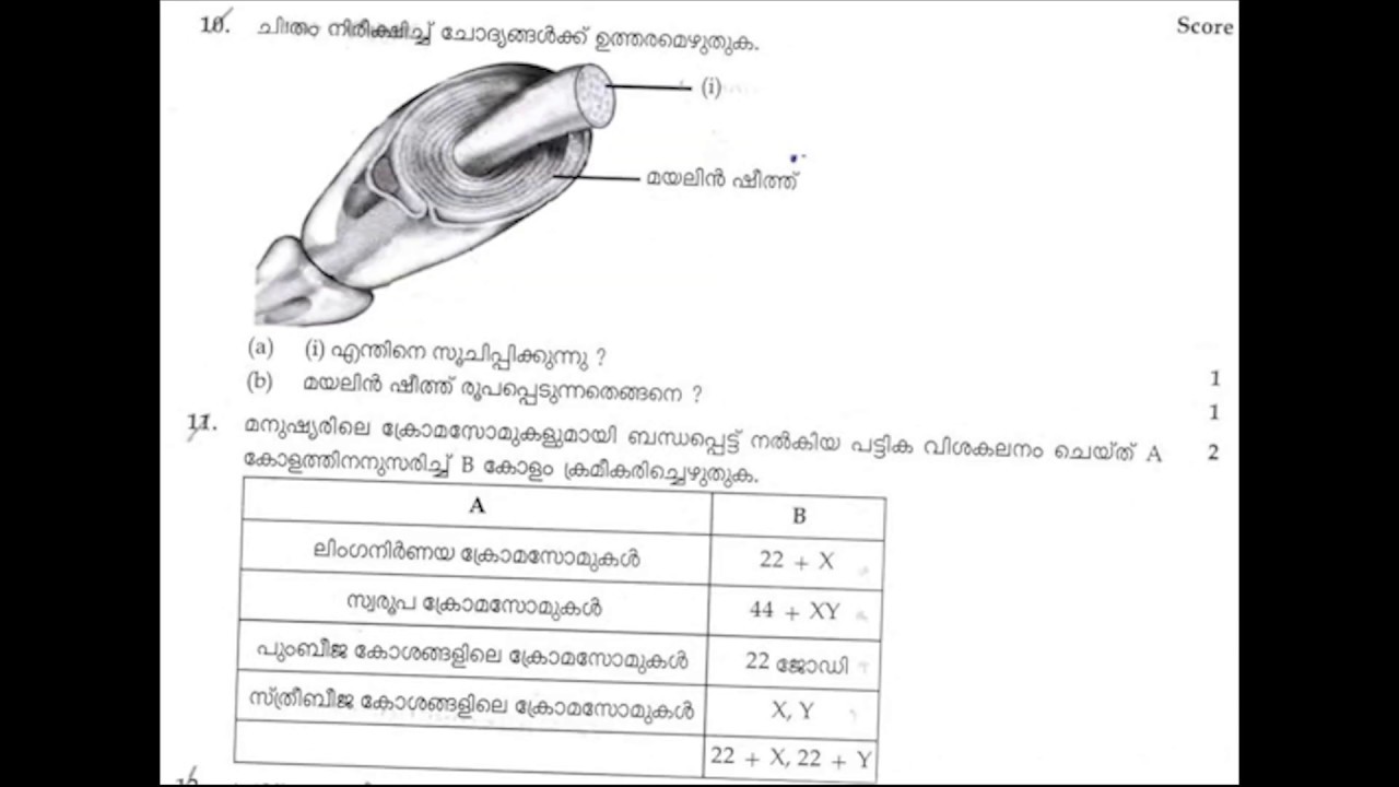 SSLC BIOLOGY MAL ANNUAL EXAM 2020 QUESTION PAPER CLASS 10 sslc-biology-mal-annual-exam-2020-question-paper-class-10