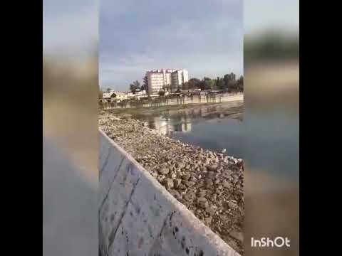 Mehmet G. Adana Taşköprü'nün Tanıtımı