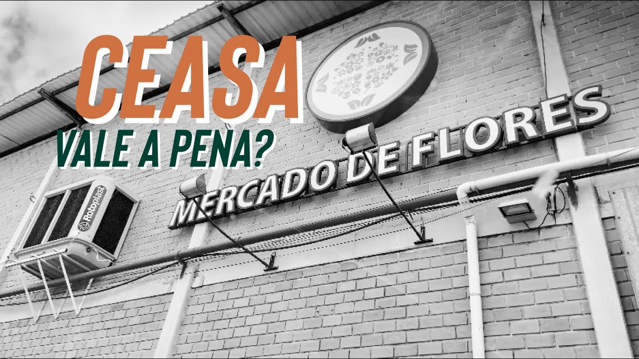 Ceasa Curitiba | Mercado de flores | Vale a pena? - YouTube