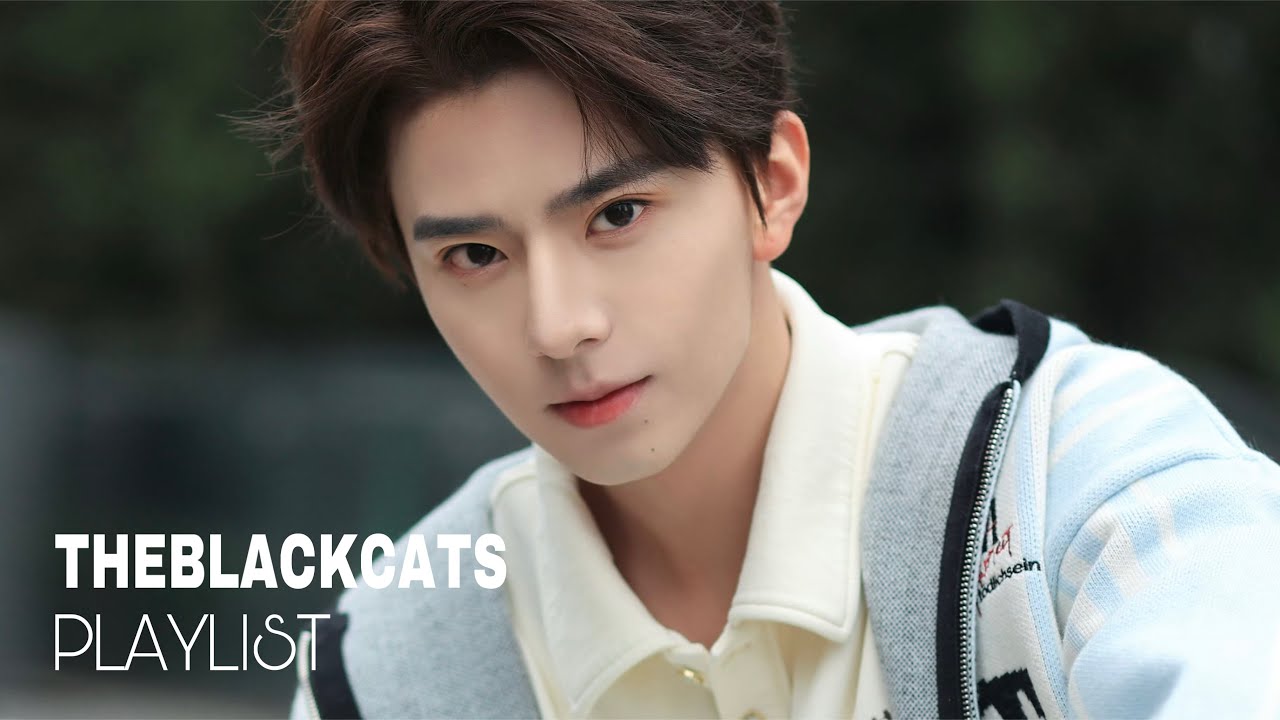 Zhang Ting Rui 张庭睿 Thumbnail for Playlist - YouTube