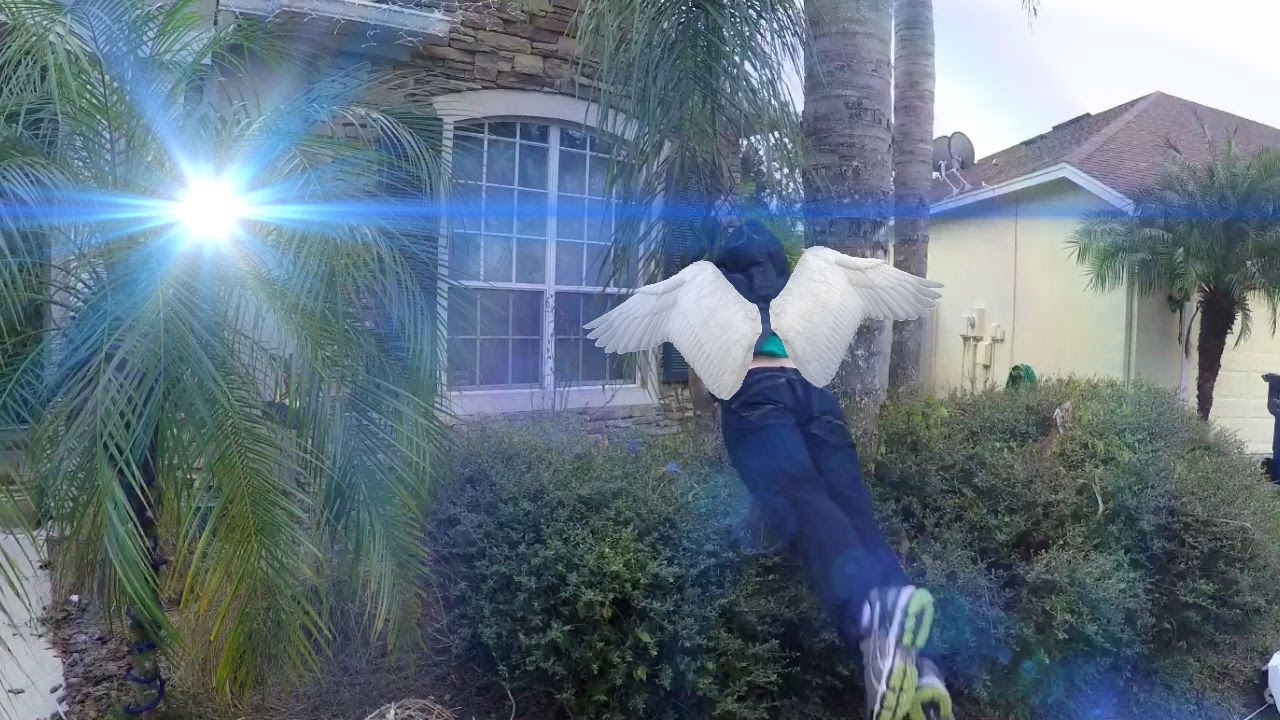 Jumping over a Bush!!! PART2 - YouTube