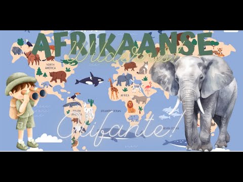 Afrikaanse Wildernis Olifante, vir kinders in Afrikaans! #opvoedkundig ...
