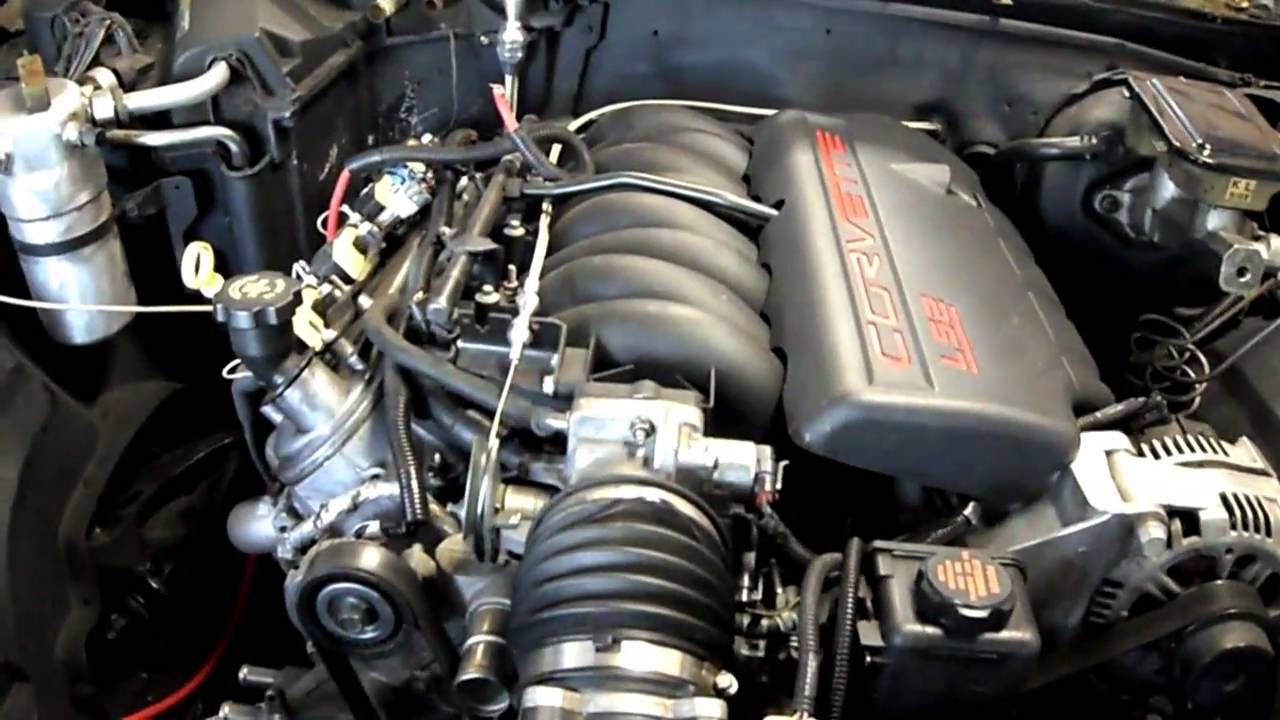 self made campaign ls1 ls2 conversions-1/1 - YouTube