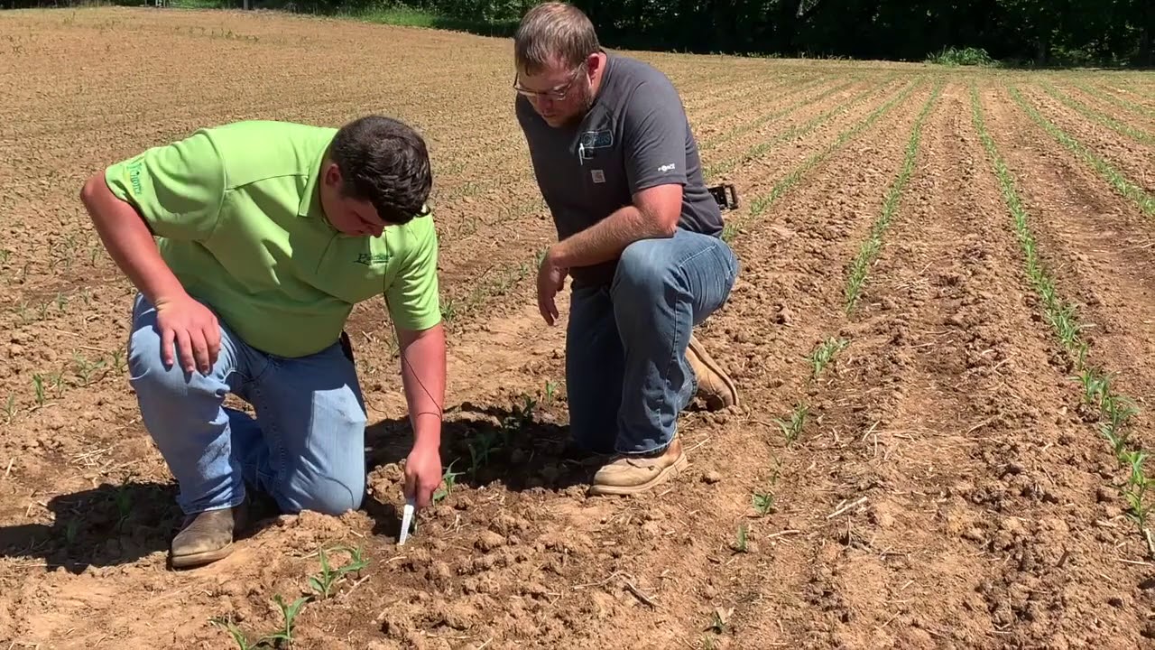 Precision Planting POGO Run - YouTube