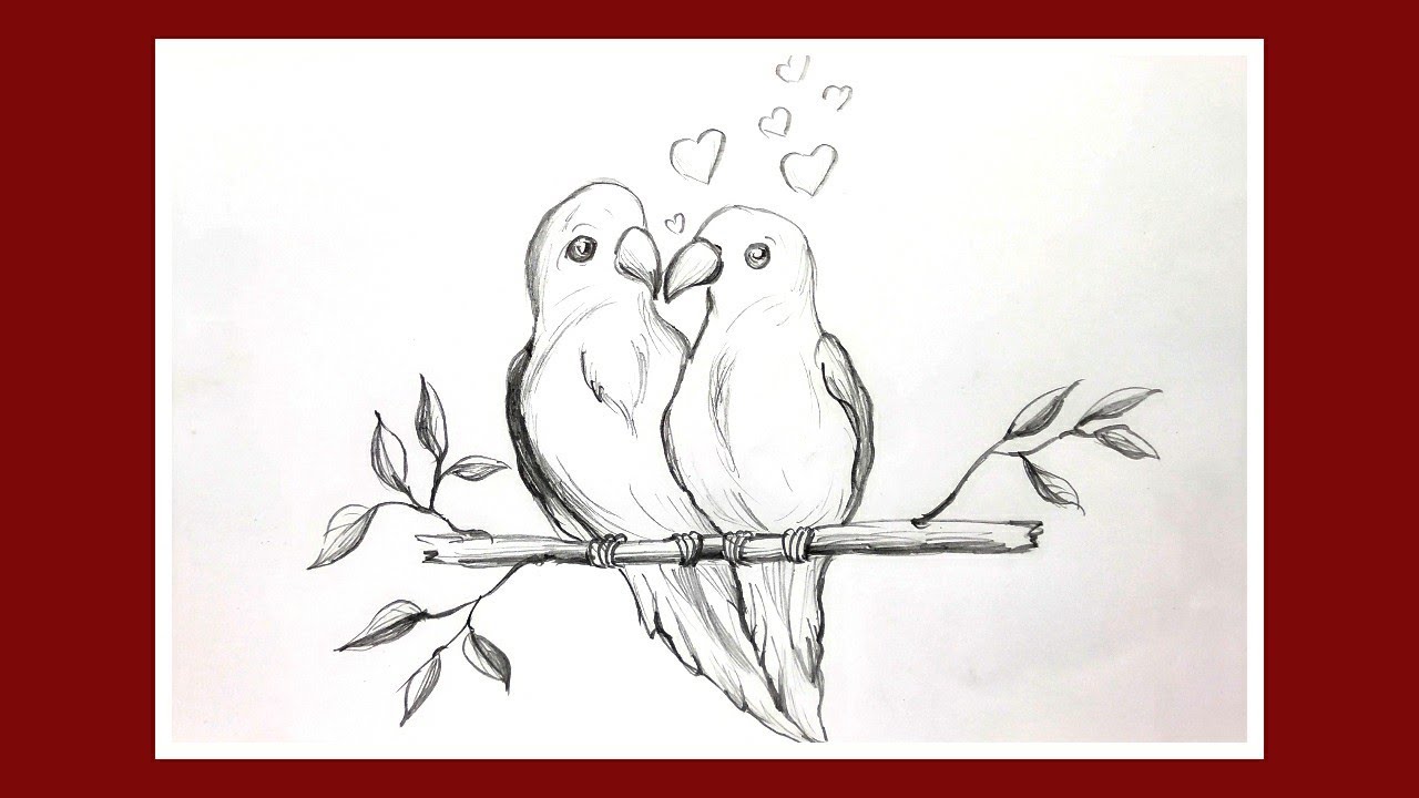 Love birds drawing/How to draw love birds - Chitro Srijon - YouTube