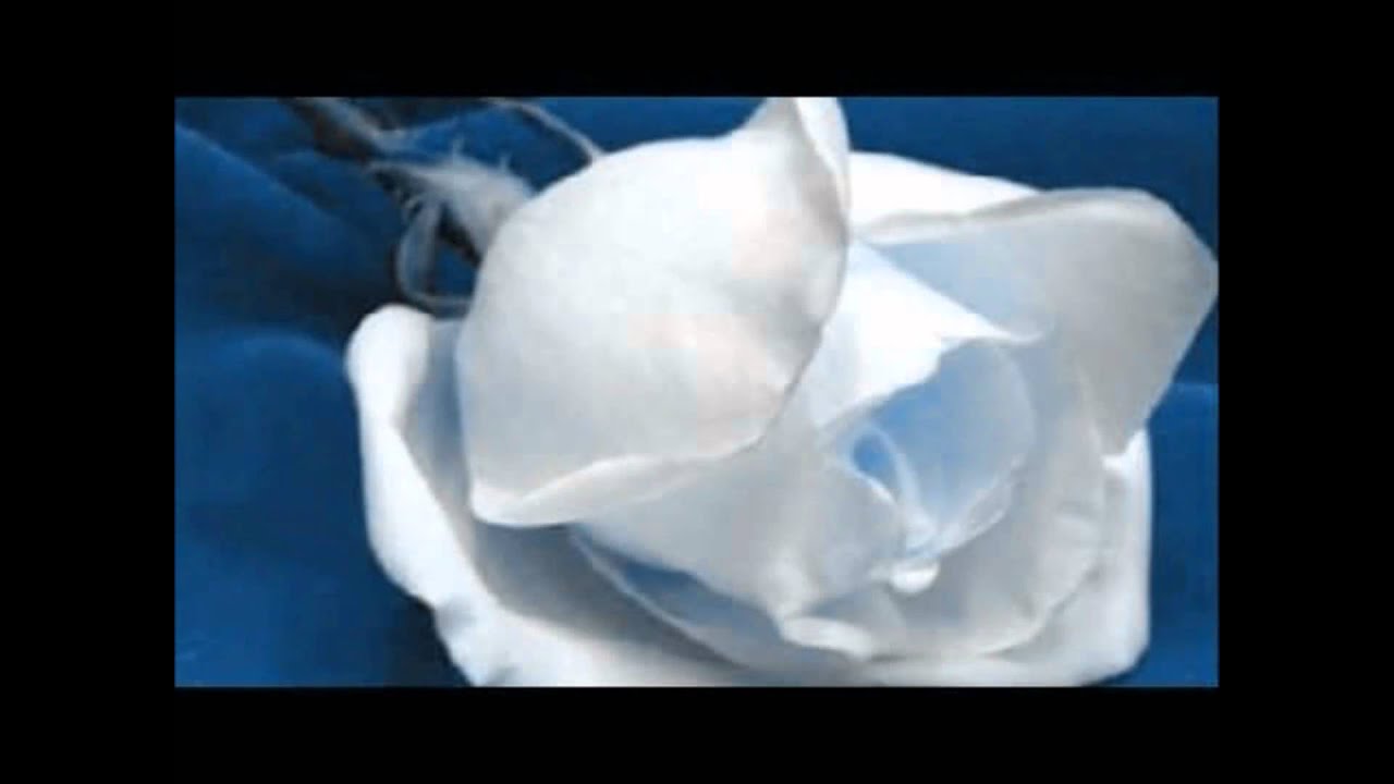 ANTONIO BADU SORTILEGIO - YouTube Music