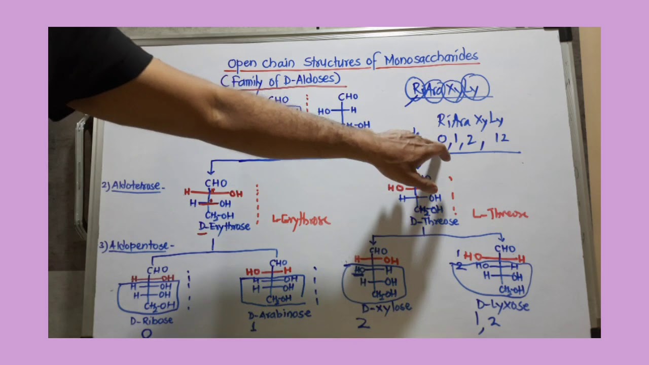 Open Chain Structures of Monosaccharides (Family of D-aldoses) - YouTube