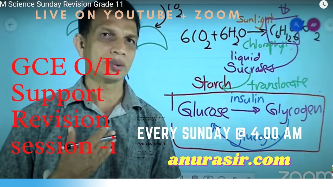 EM Science Sunday Revision Grade 11 - YouTube