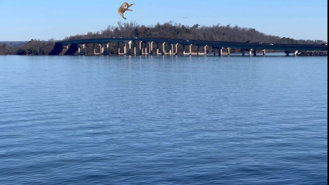 Unidentified Flying Object Spotted Above Tennessee River Strange UFO ...
