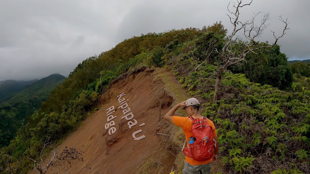 2022 03 19 Kaipapau Ridge - YouTube