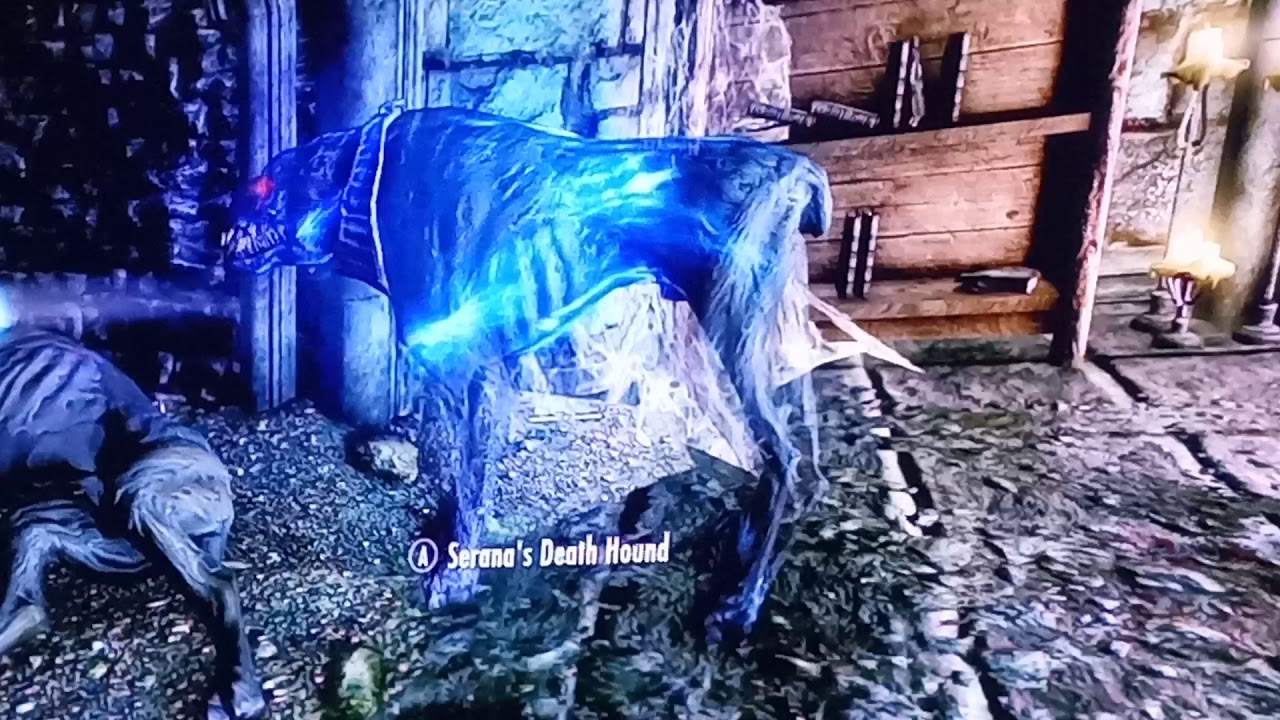 Death Hound Dance - YouTube