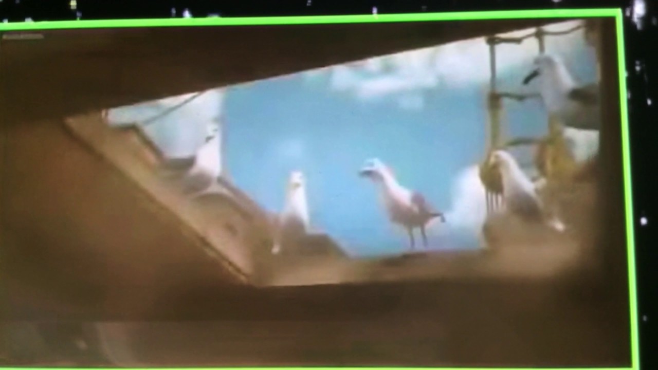 Spongebob Seagull - YouTube