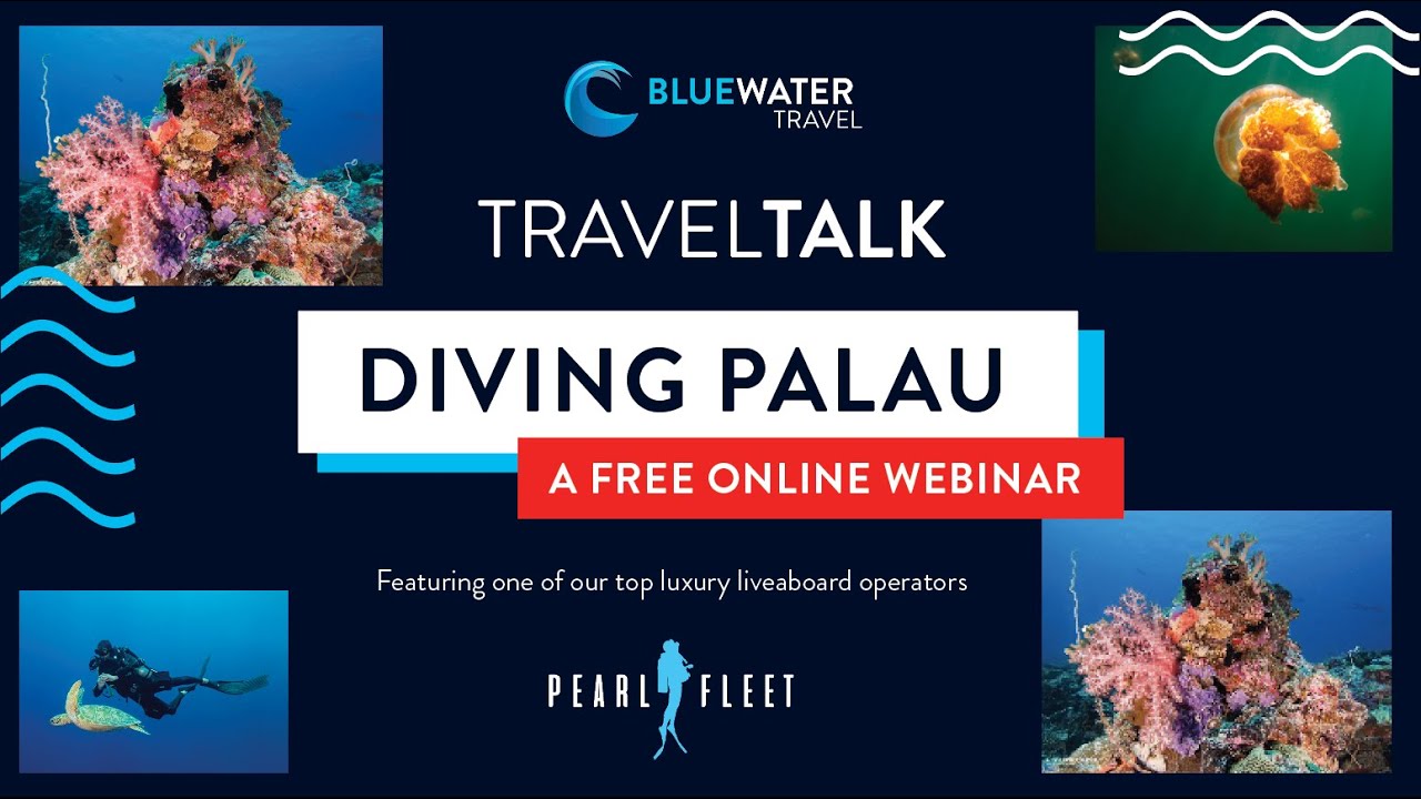 Diving In Palau with Bluewater Travel & Pearl Fleet - YouTube