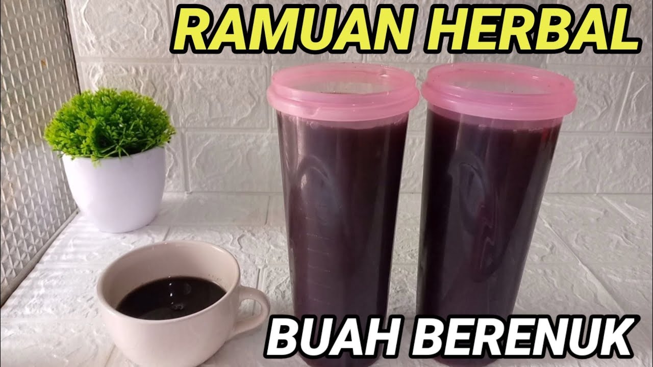 Cara mengolah buah berenuk menjadi minuman herbal - YouTube