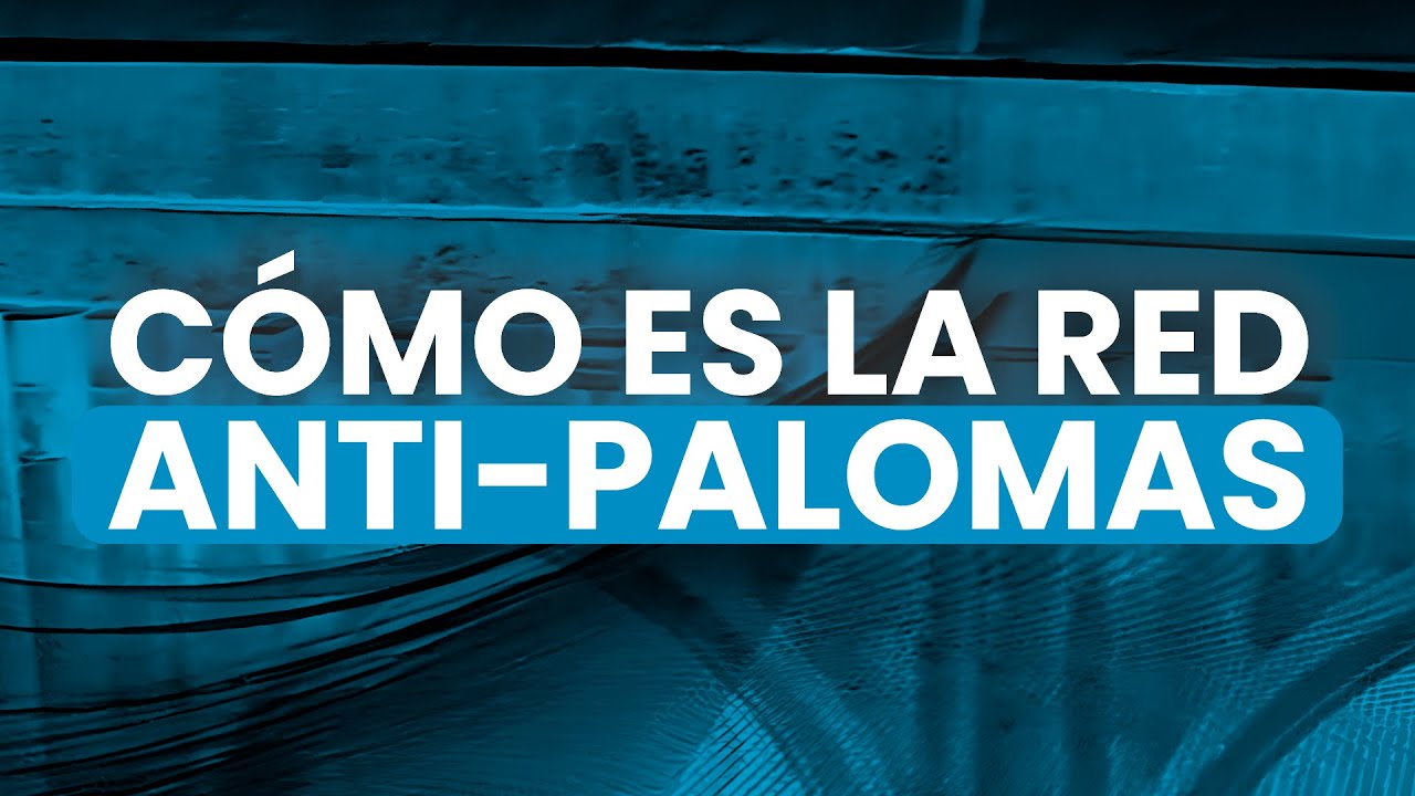 ¿Cómo es una RED ANTI-PALOMAS? - YouTube
