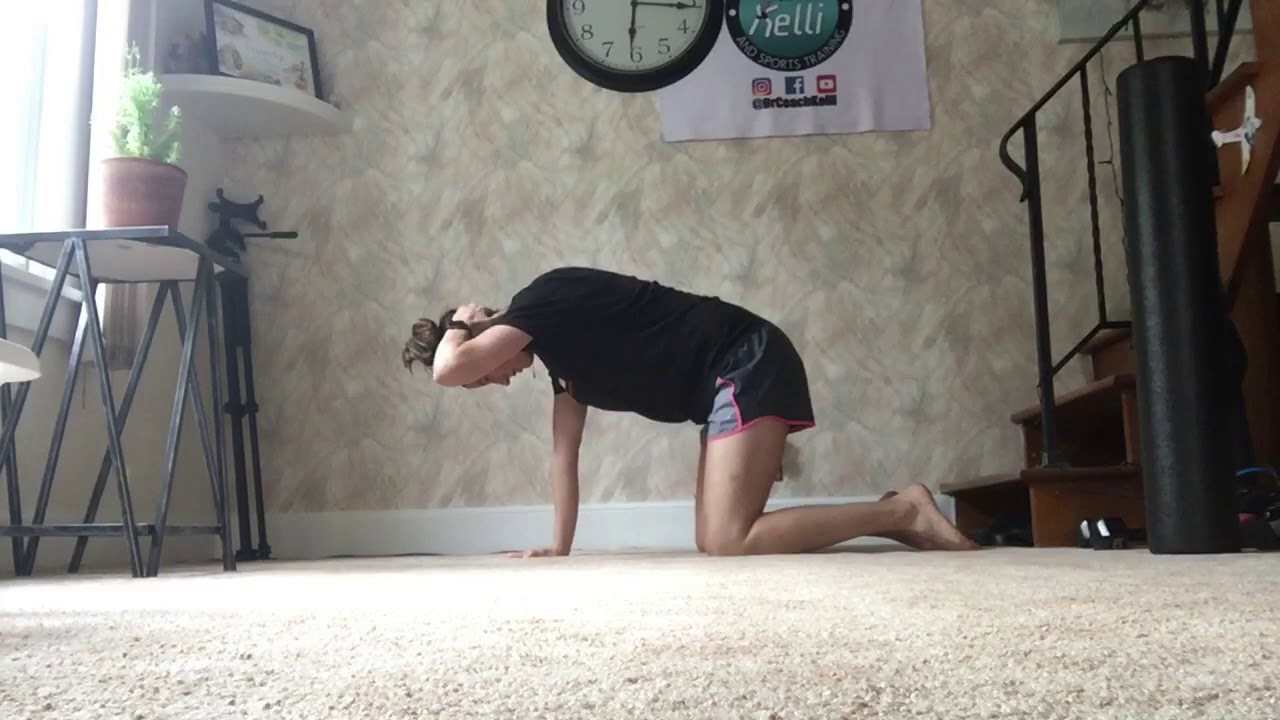 Thoracic rotation in quadruped - YouTube