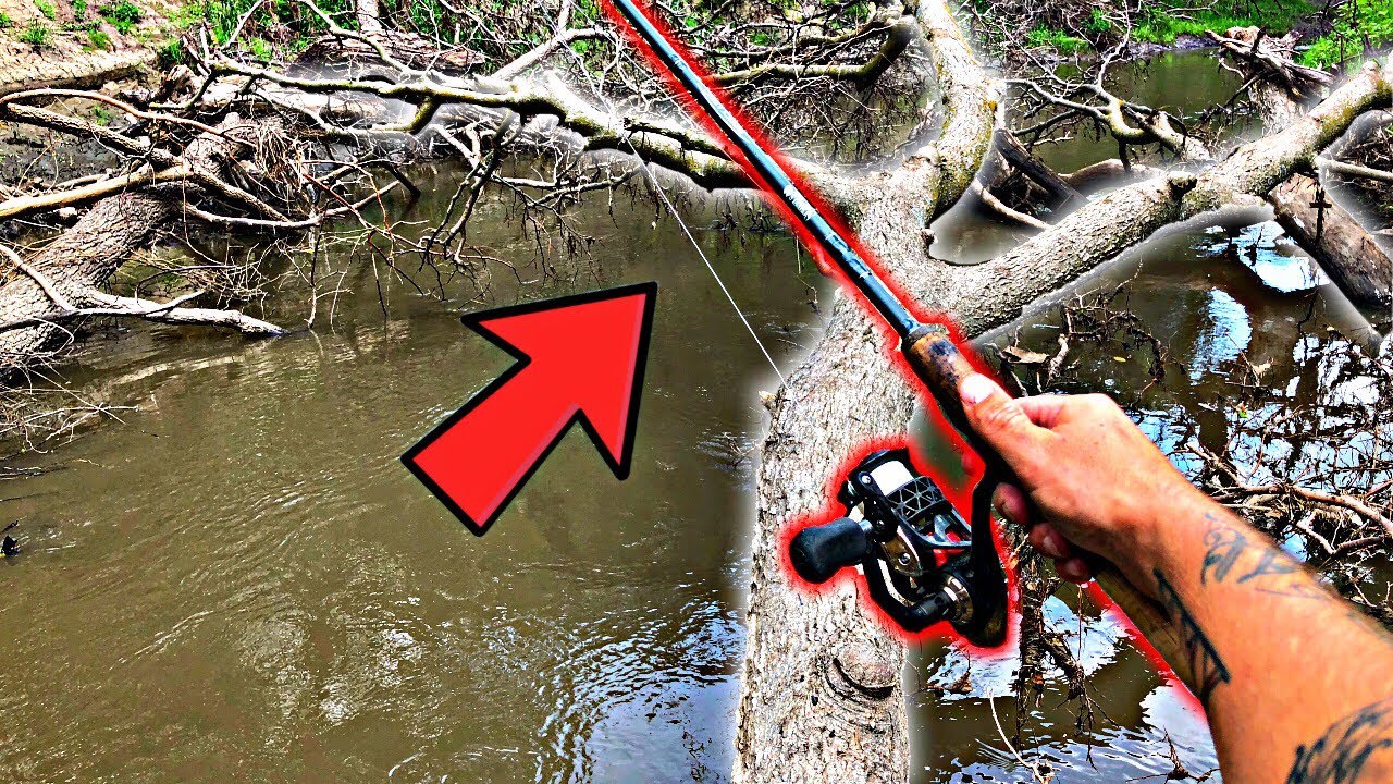 I FINALLY Caught One While Exploring MICRO Creeks!!! (Unexpected) - YouTube