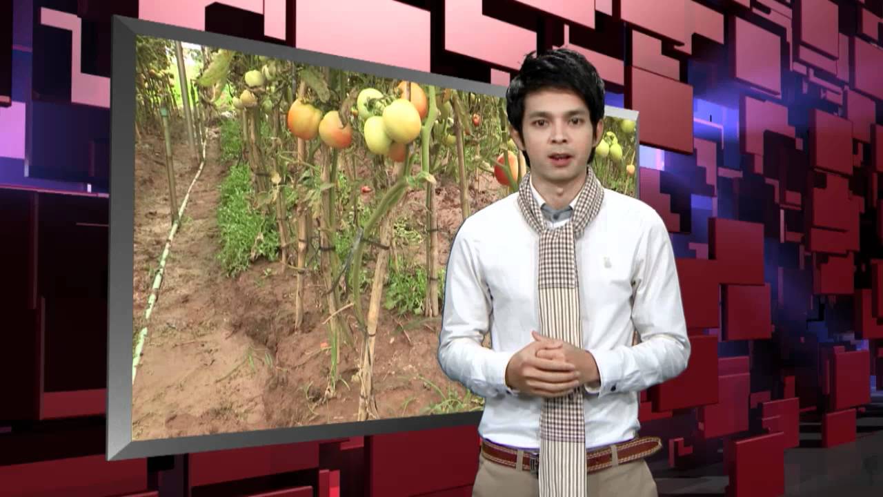 Hang Meas HDTV (Job-Pages) ទំព័រអាជីព - YouTube