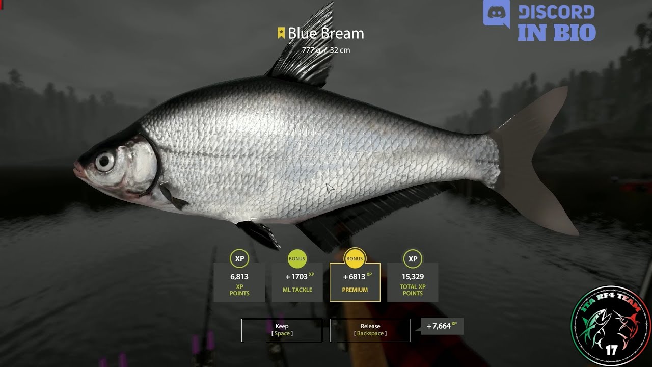 Ladoga Lake spot, Trophy Blue Bream - #66 - Russian Fishing 4 / RF4 ...