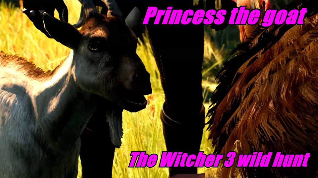 Princess the goat - The Witcher 3 wild hunt - YouTube