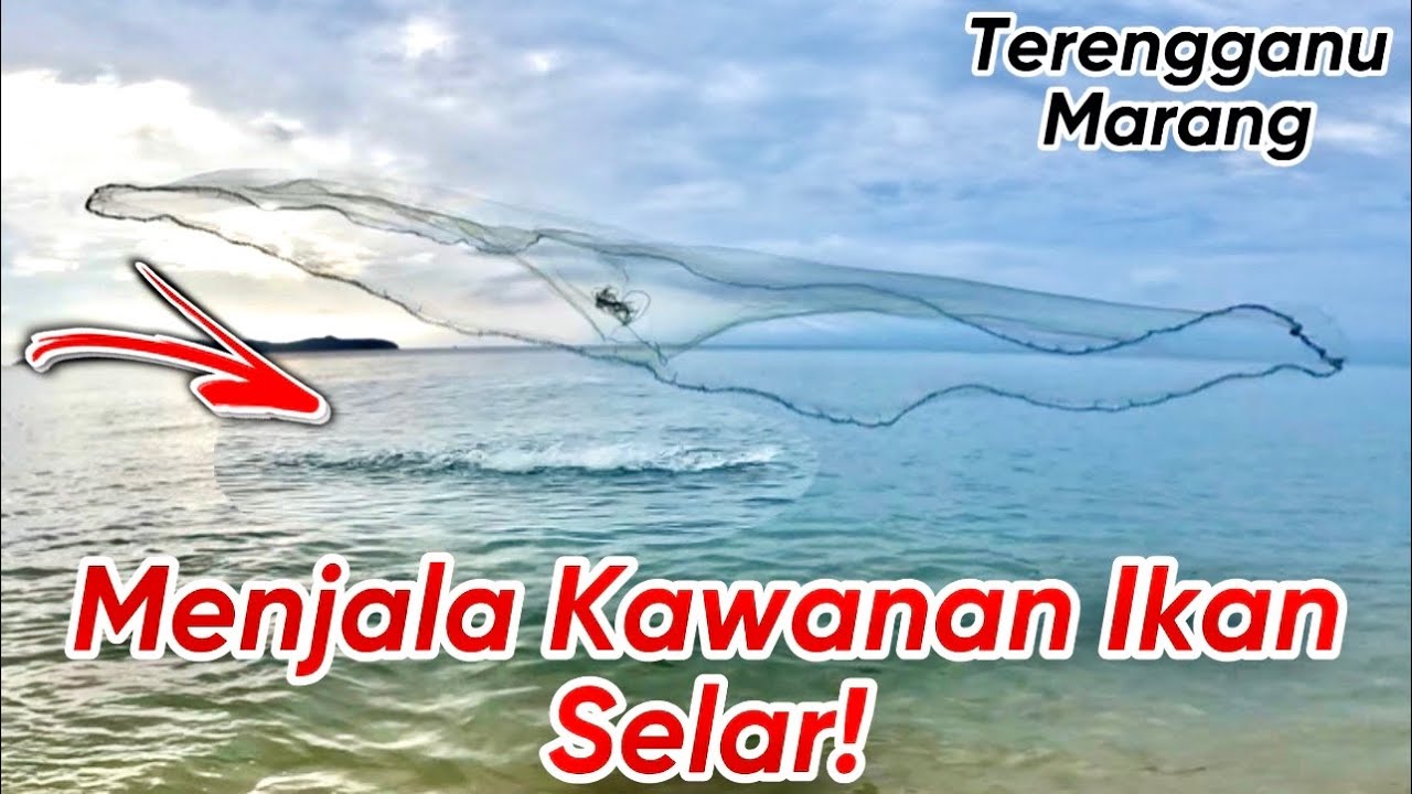 🇲🇾CABARAN MENJALA IKAN SELAR KETIKA AIR JERNIH! | Traditional Cast Net ...