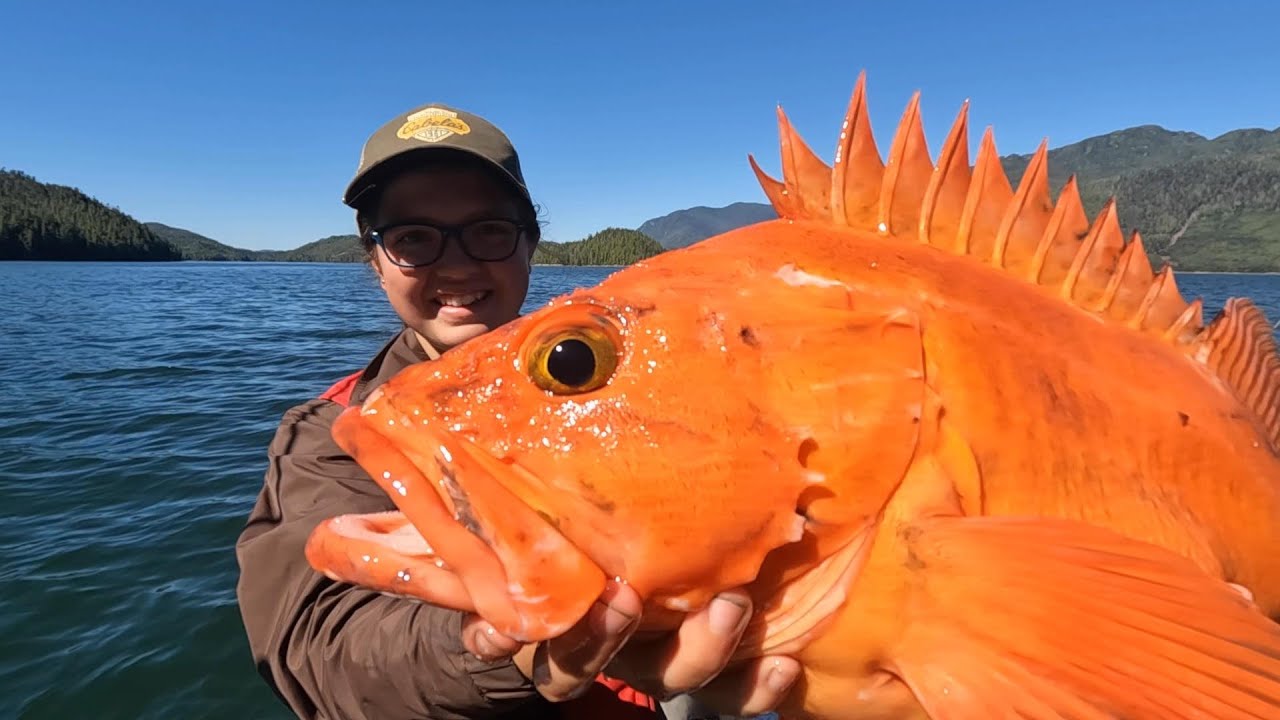 This fish was alive during WWII.... - YouTube