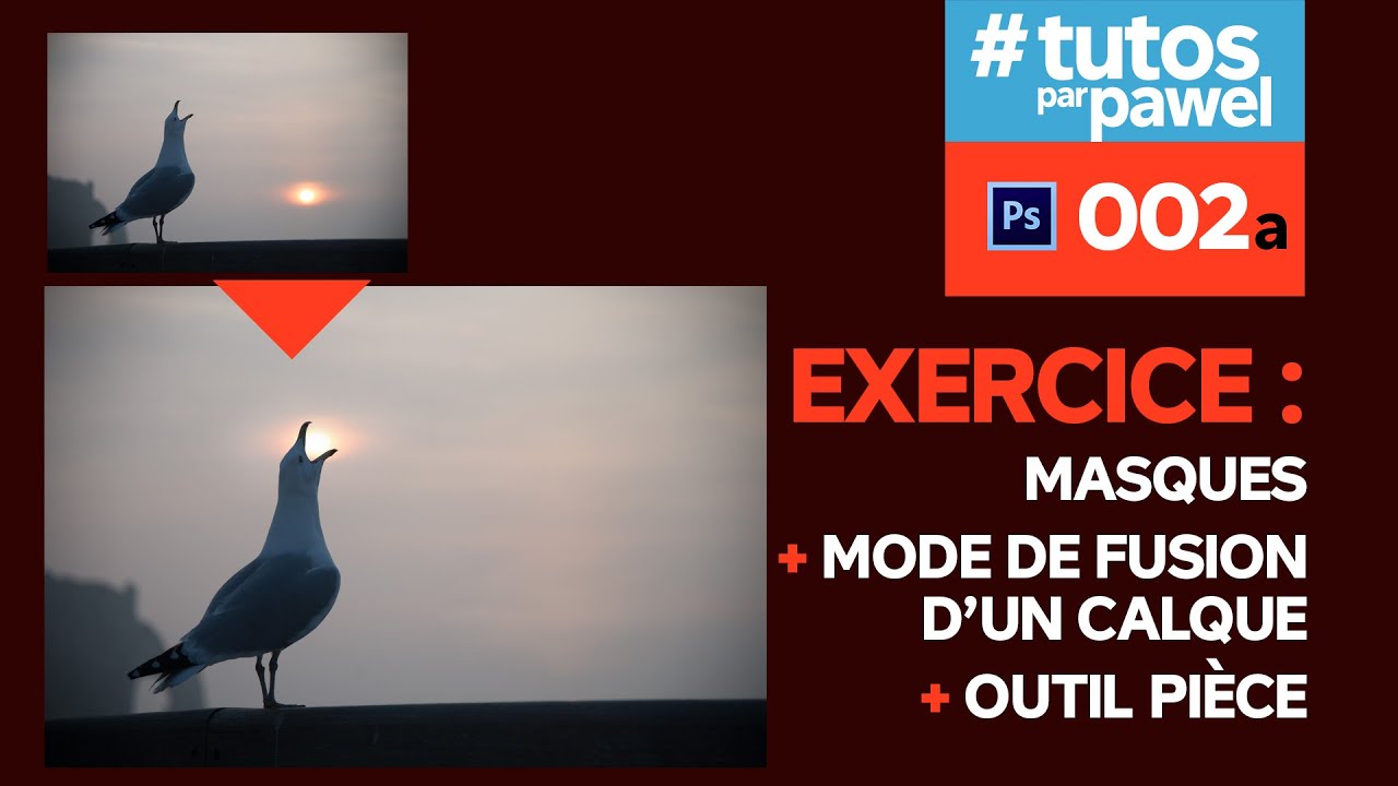 [Tuto] Photoshop 002a Exercice Débutant goéland Tuto | Pawel - PS 002a ...