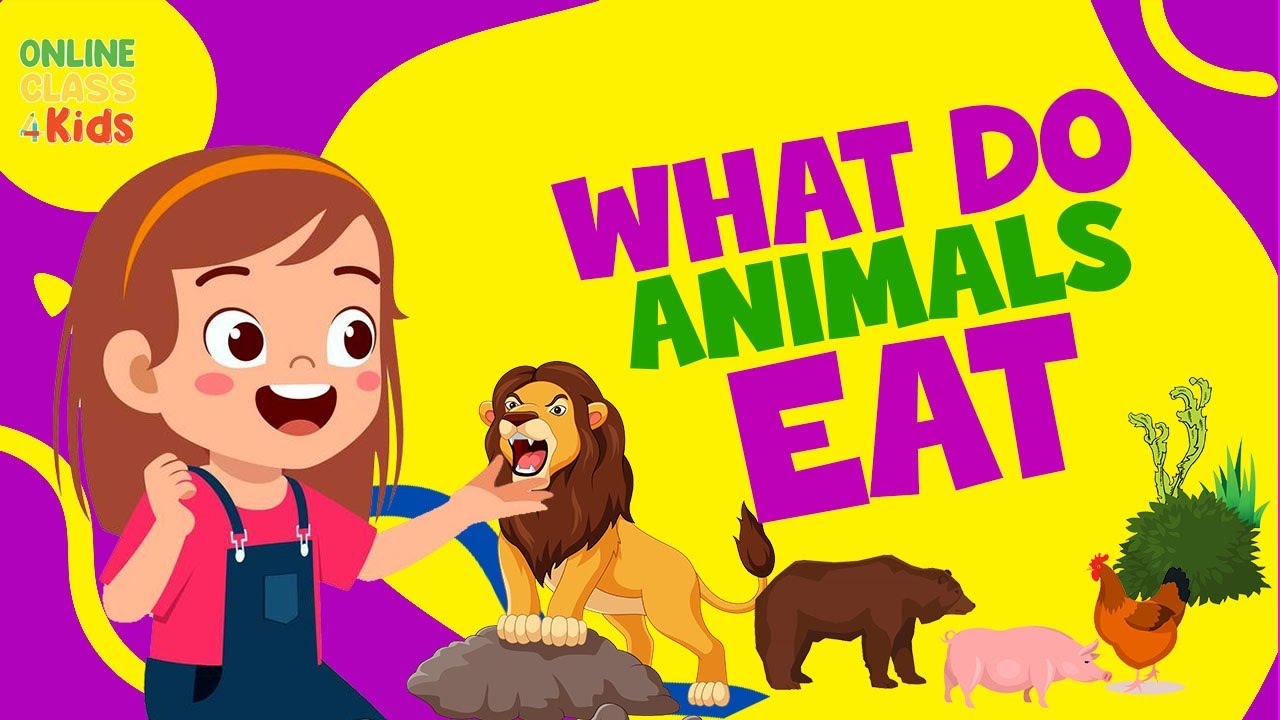 Animals and the Food They Eat | Omnivore | Carnivore | Herbivore ...
