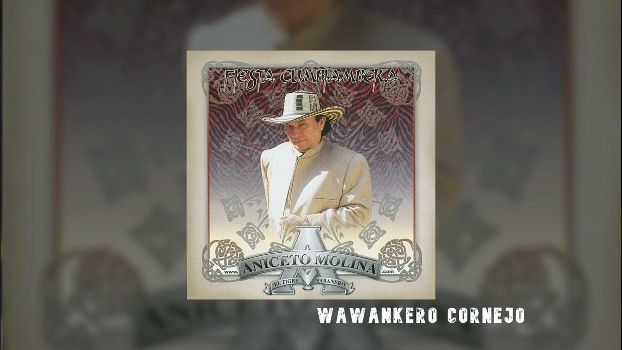 La Cumbia Campanera - Aniceto Molina - YouTube