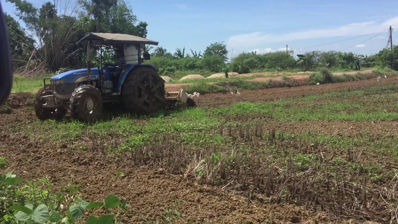 New Holland tracktor TD80 series - YouTube