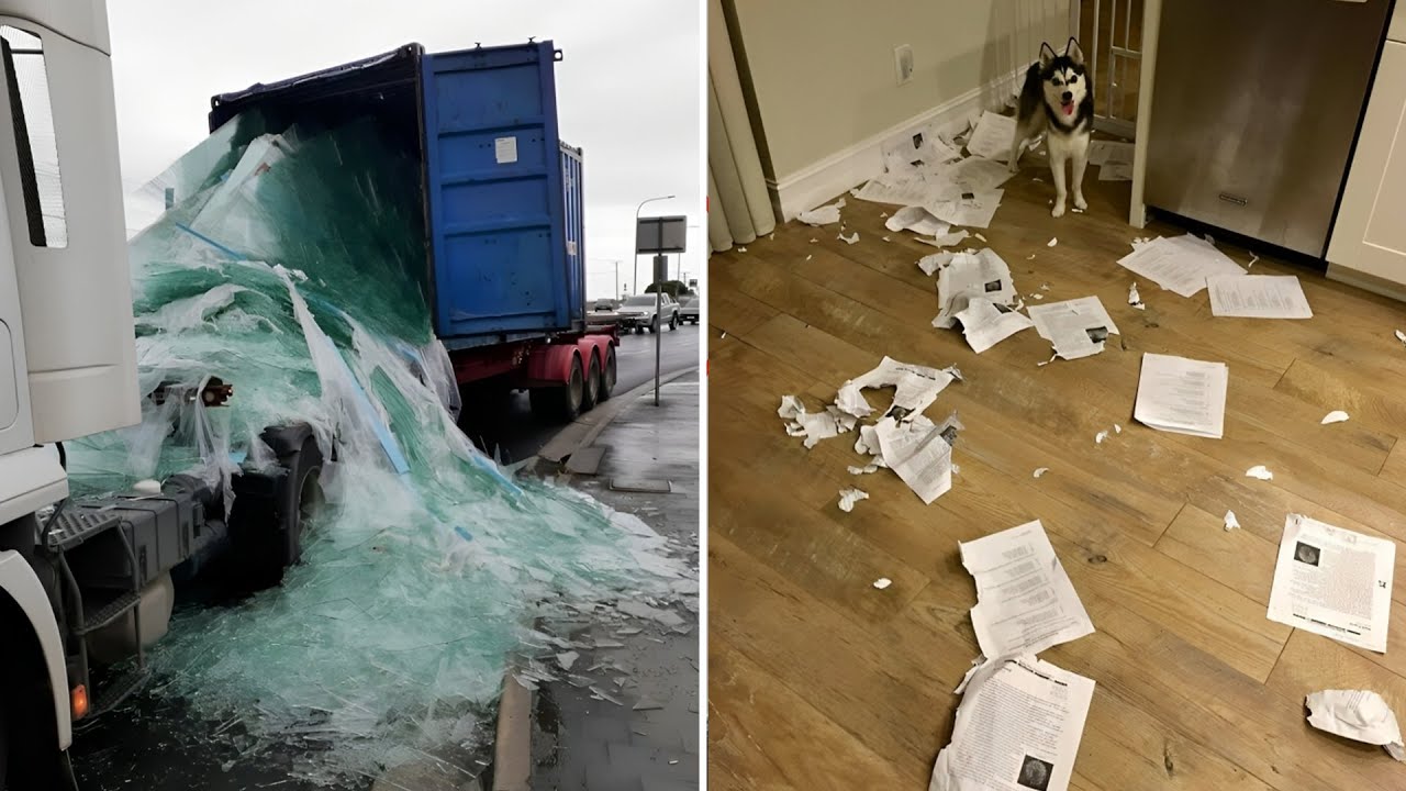 Workplace Disasters: Unbelievable Stories from Reddit - YouTube