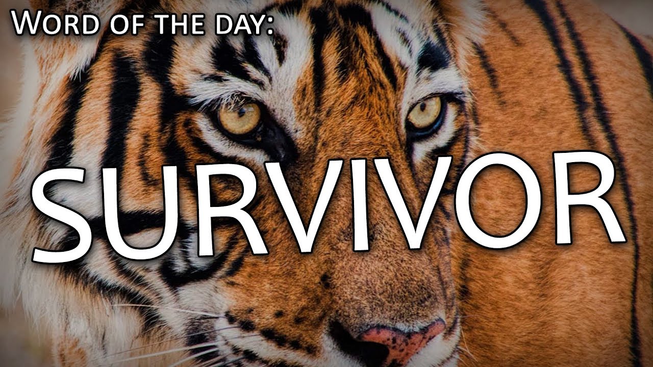 Word of the day: SURVIVOR - YouTube