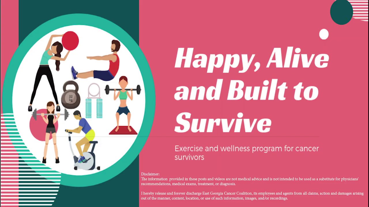 At- Home Exercise - Dead Bug & Bird Dog - YouTube