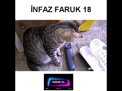 İNFAZ FARUK #1