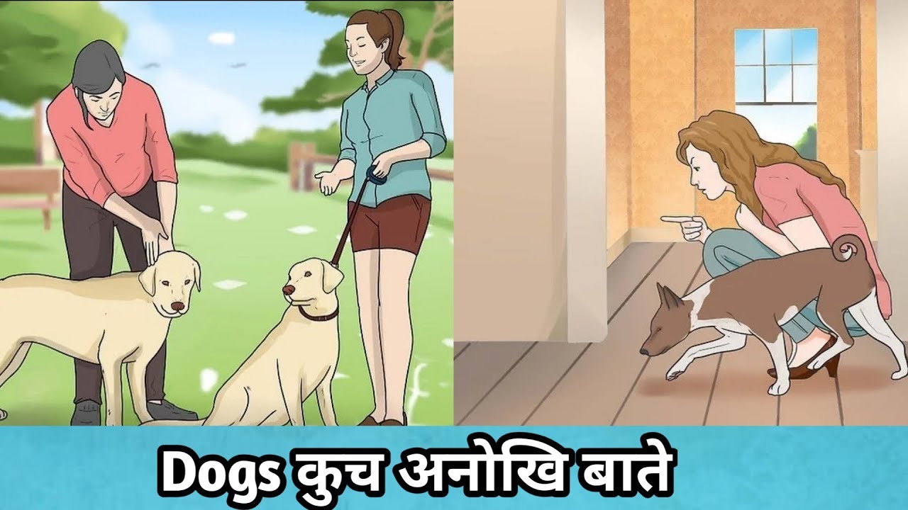 Useful clues to understand your dog better / in hindi / Dogs Body ...