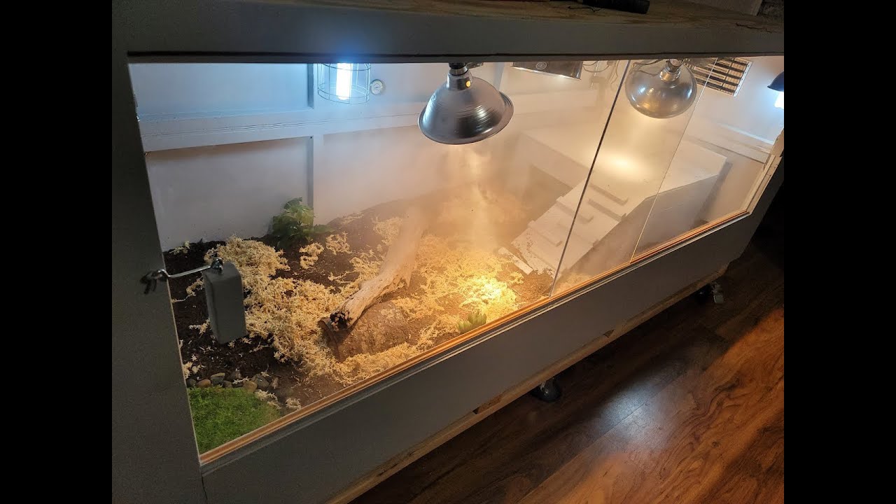 Custom Tegu Enclosure - YouTube