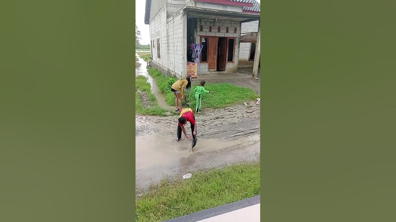 banyak ikan naik di jalan - YouTube