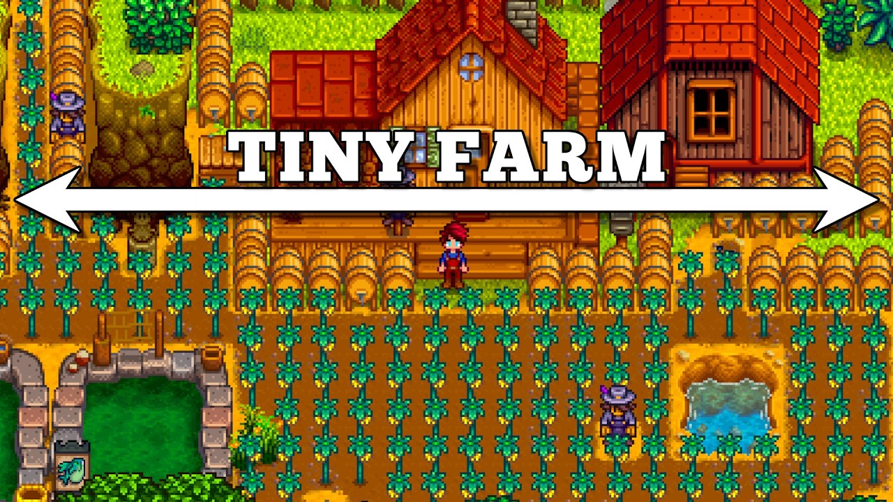 Tiny Millionaire Farm In Stardew Valley - YouTube