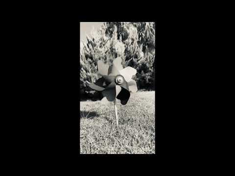 Nokta Noktam  - Şiir - Rıza Polat Akkoyunlu